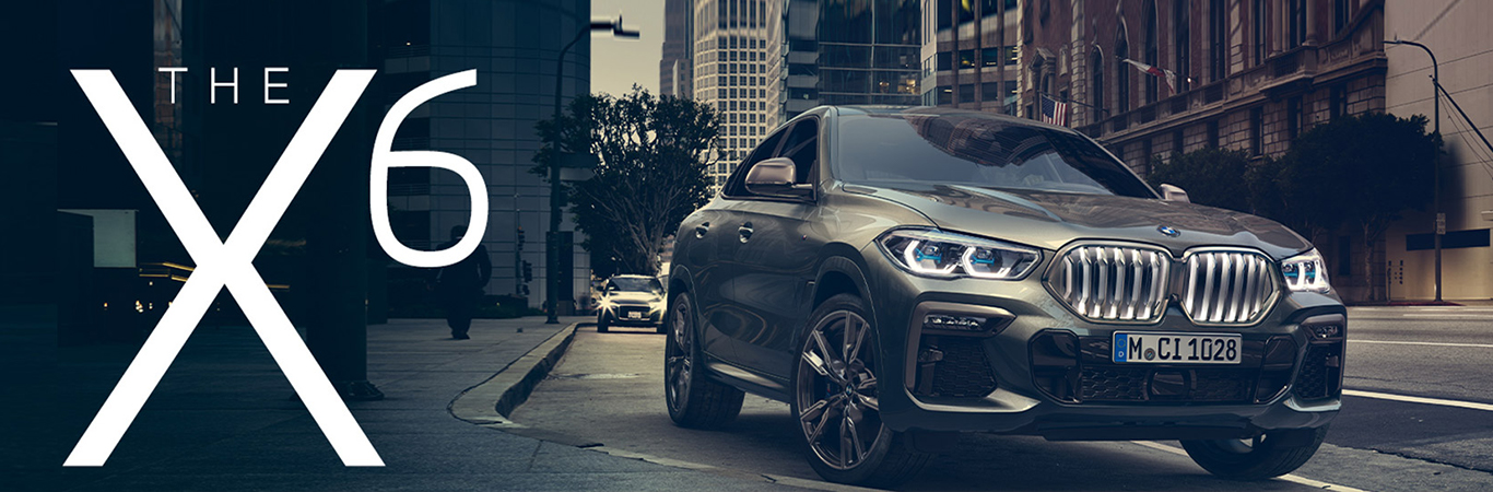 The BMW X6